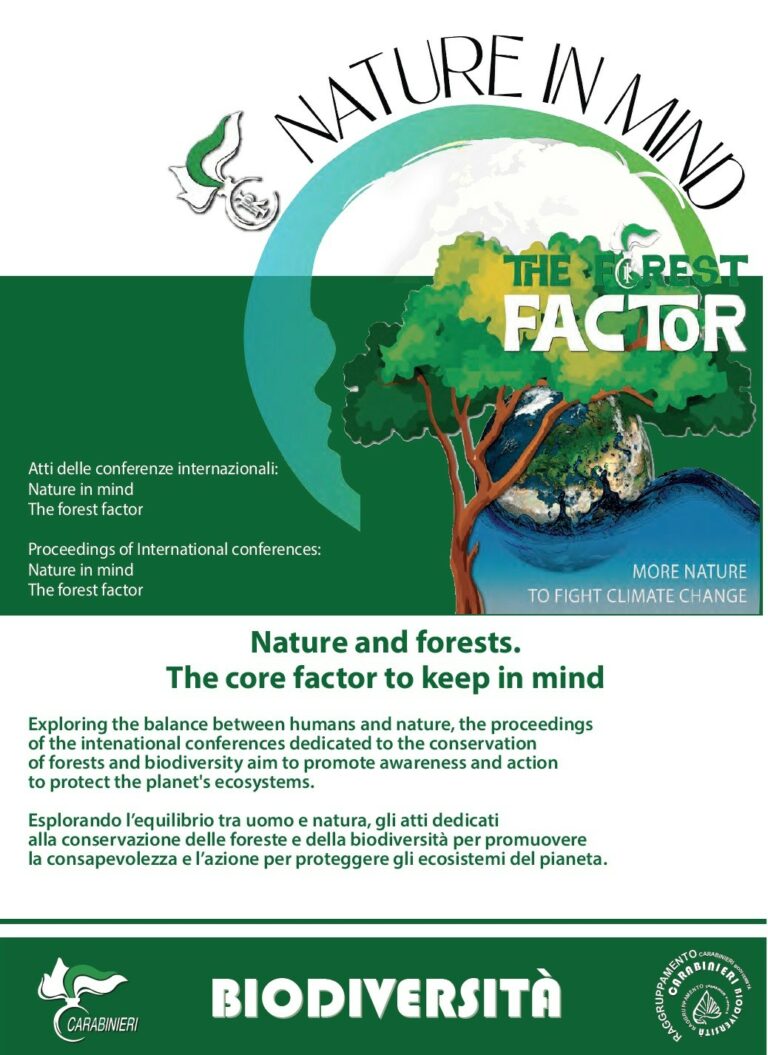 Nature and Forests, the Key Factor not to Forget – Istituto Scholé Futuro
